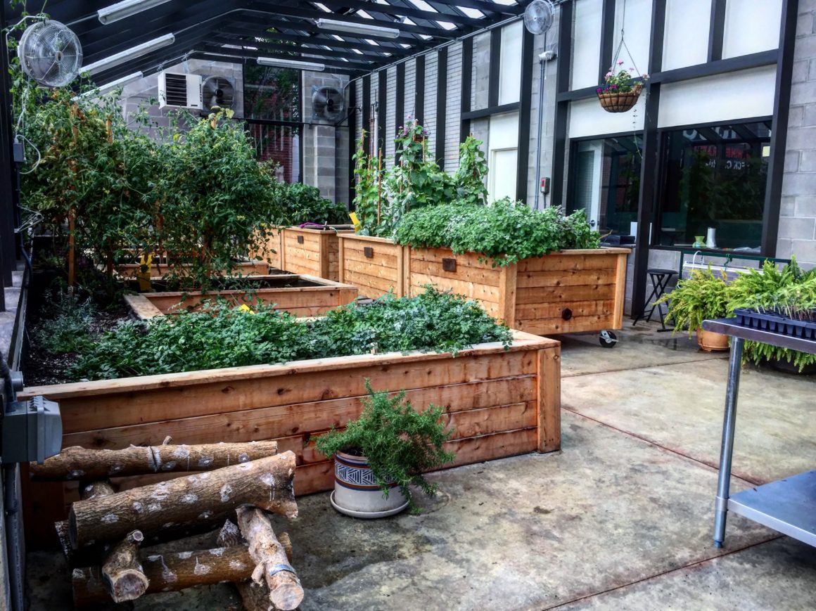 Giving Gardens – Yad Ezra